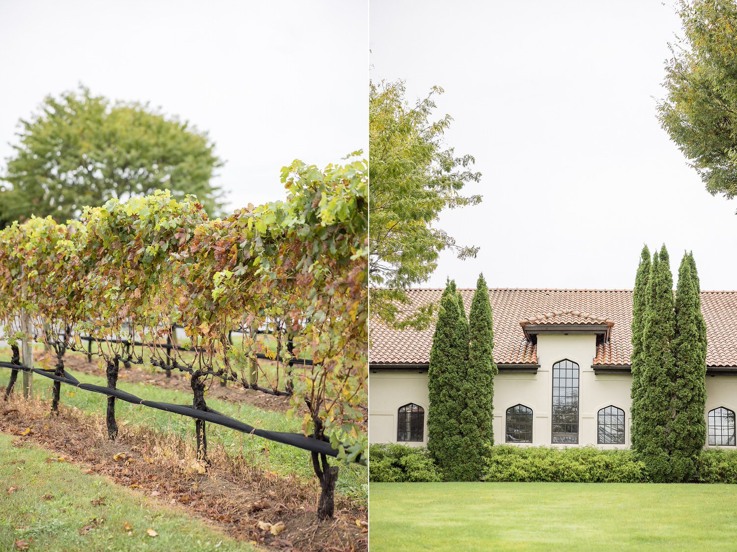 Raphael Vineyard and Winery Wedding: A Dream Venue - Award-Winning NYC ...